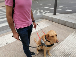 Quelles sont les différentes formes de handicap visuel